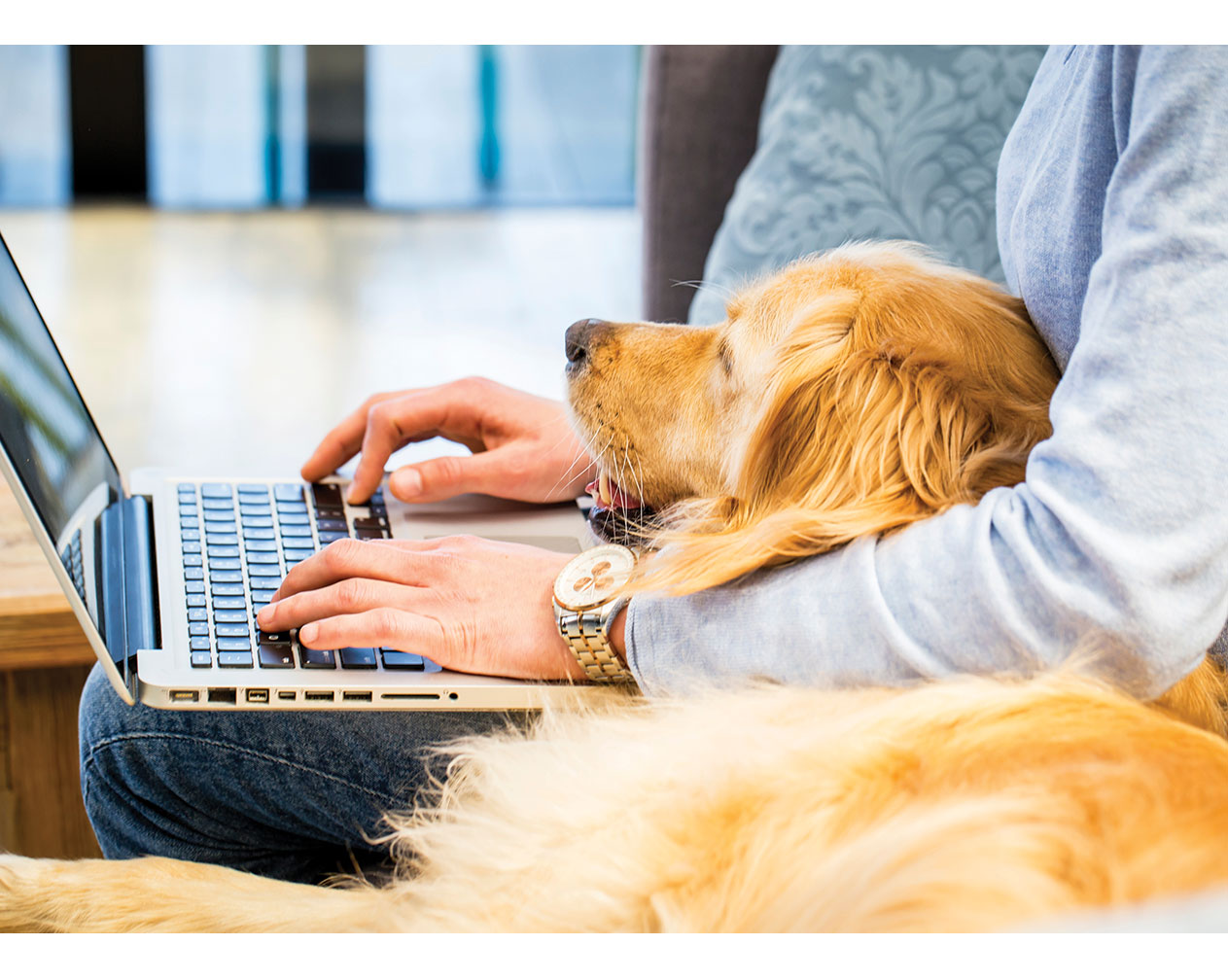 Healthy Pets Blog - Route 66 Veterinary Emergency & Critical Care Center